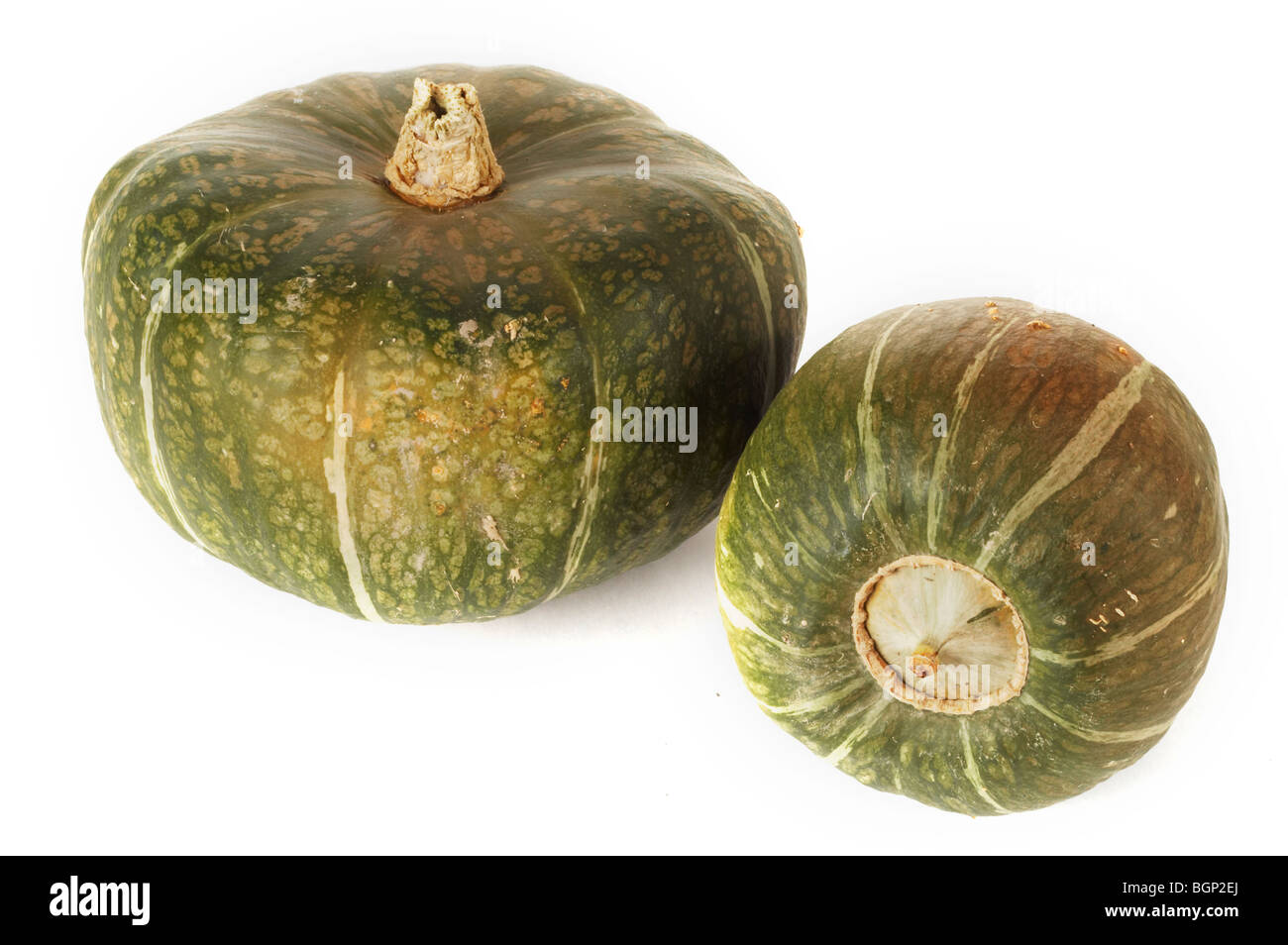 Green buttercup squash hi-res stock photography and images - Alamy