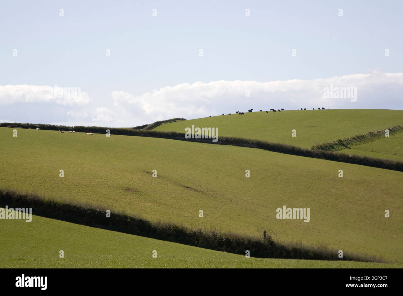 Patchwork fields hi-res stock photography and images - Alamy