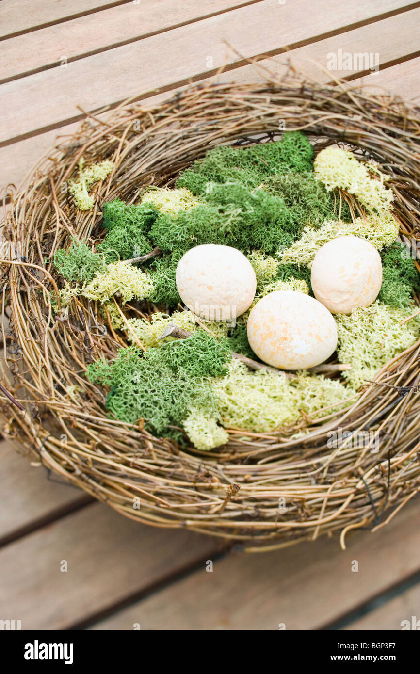 Animal with eggs hi-res stock photography and images - Alamy