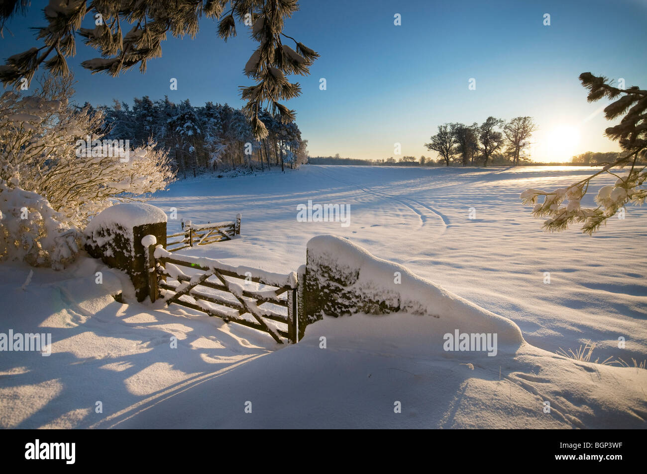 Winter wonderland snow scene Stock Photo - Alamy