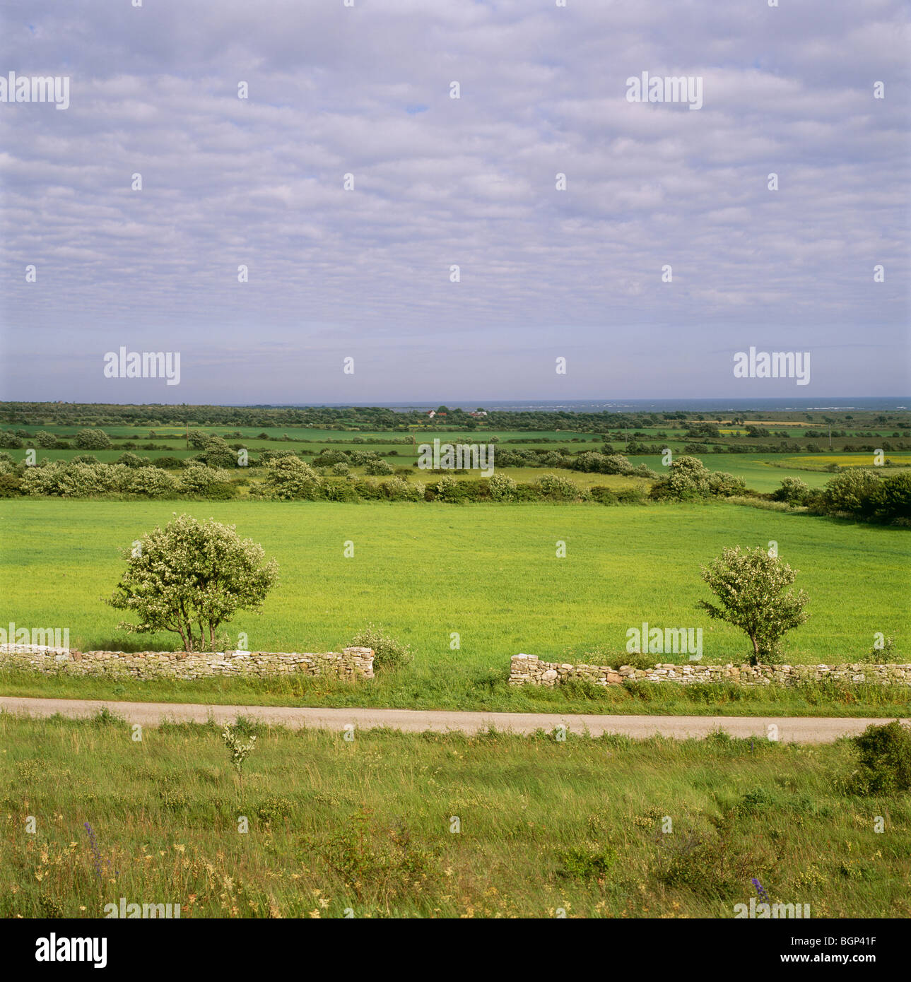 Sweden fields hi-res stock photography and images - Alamy