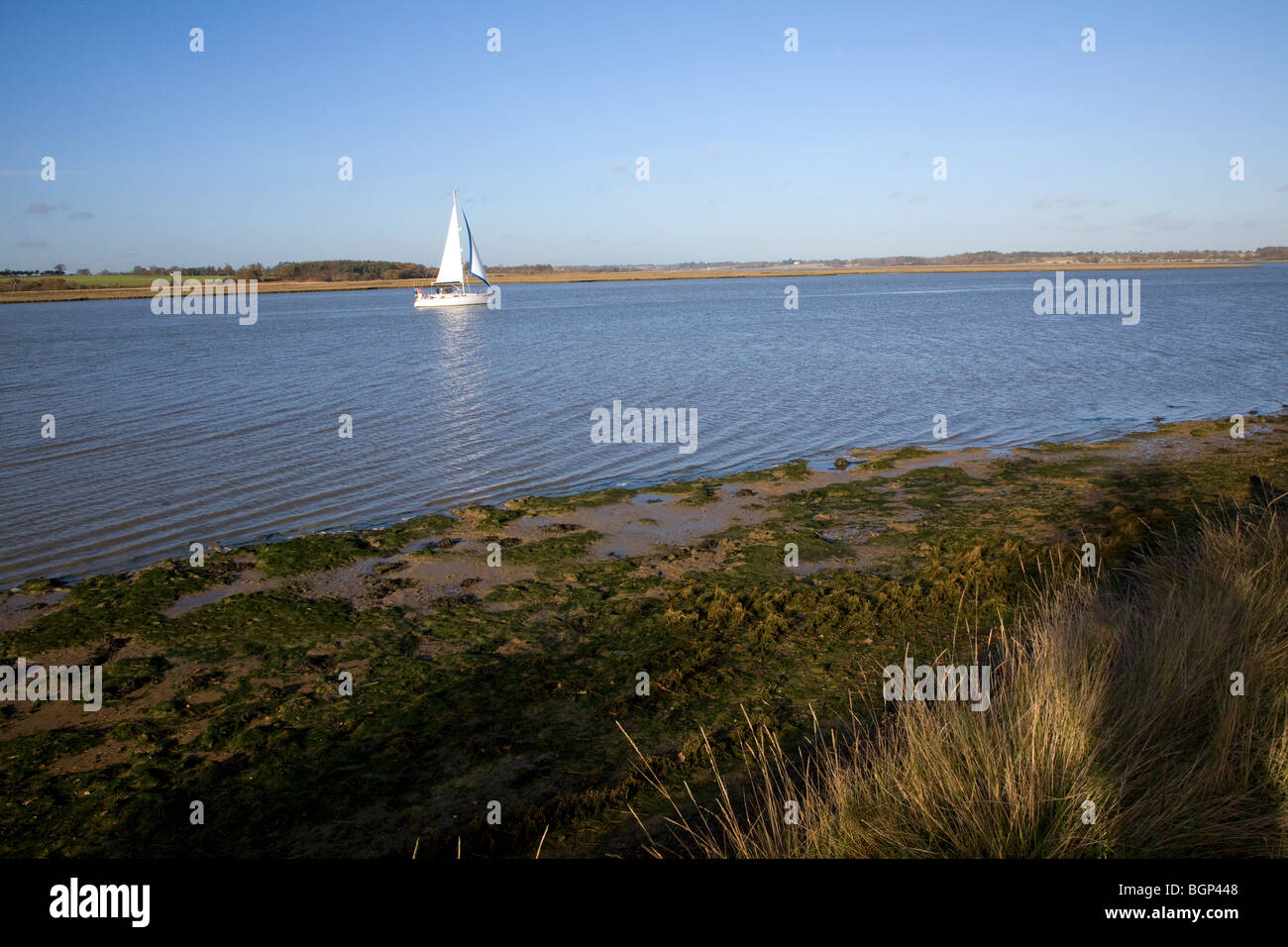 White sailing boat River Deben Suffolk England Stock Photo - Alamy
