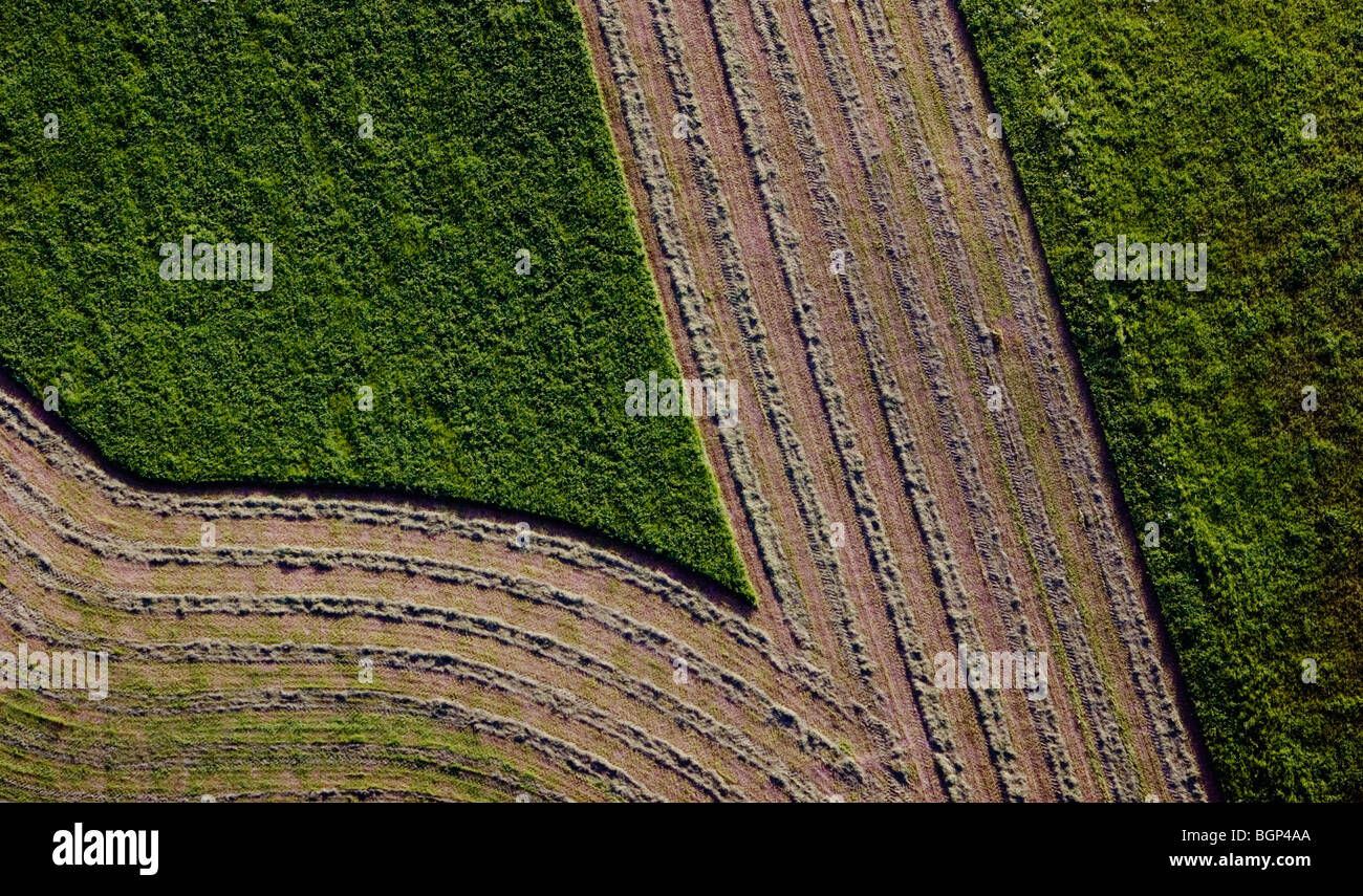 Aerial view of a field, Sweden Stock Photo - Alamy