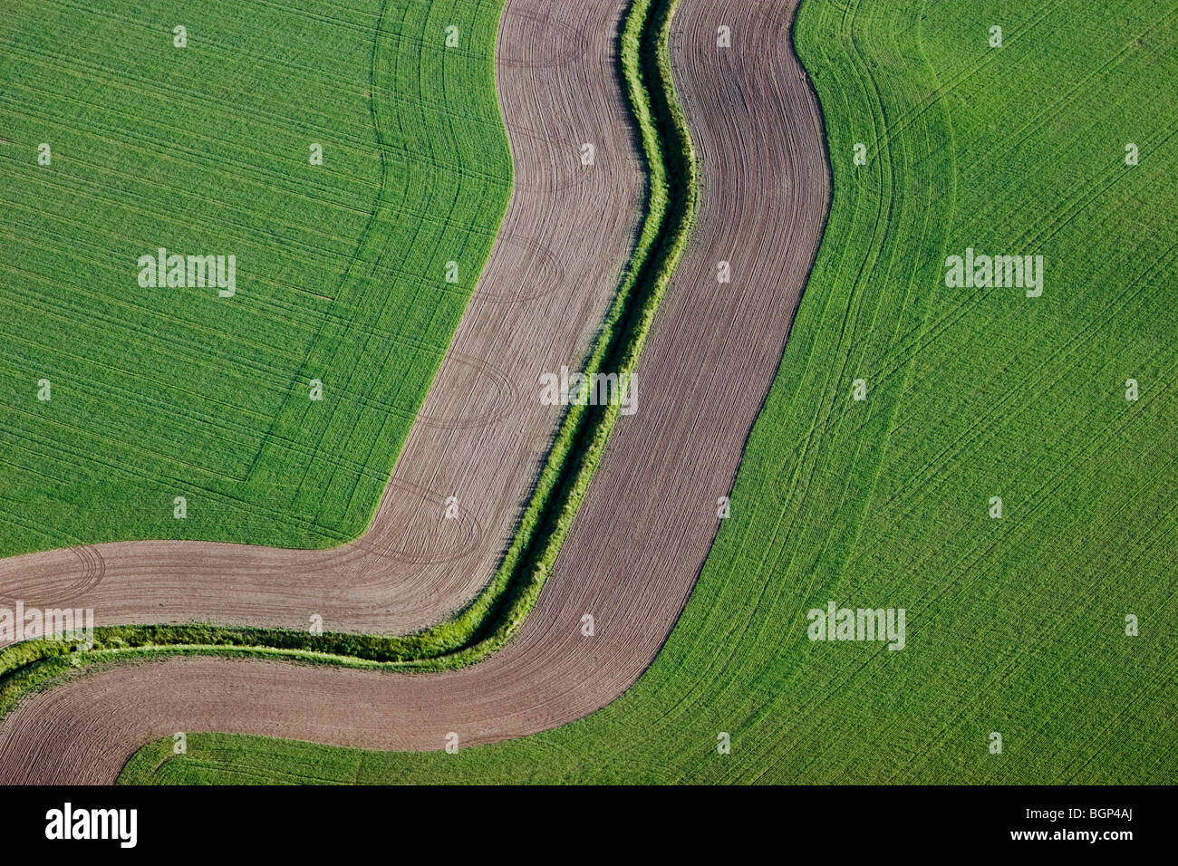 Sweden fields hi-res stock photography and images - Alamy