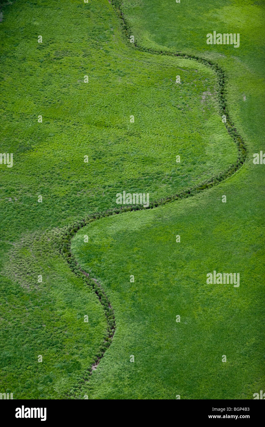 Wetlands, Narke, Sweden Stock Photo - Alamy