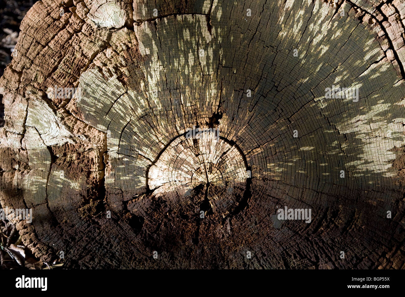 Concentric patterns hi-res stock photography and images - Alamy