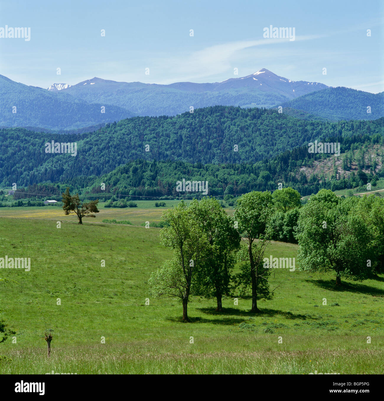 Landscape in France Stock Photo - Alamy