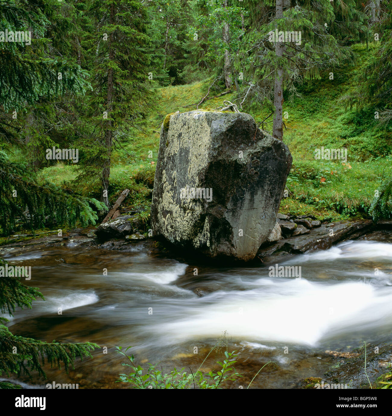 A big stone in a creek, Sweden Stock Photo - Alamy