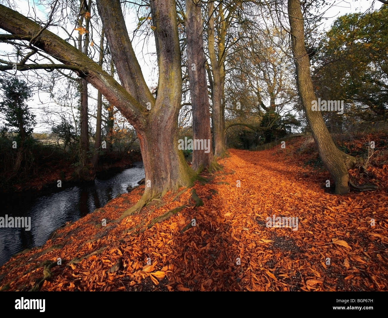 October november hi-res stock photography and images - Alamy