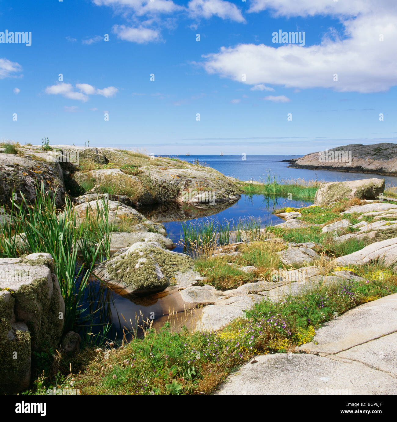 Cliffs by the sea, Sweden Stock Photo - Alamy