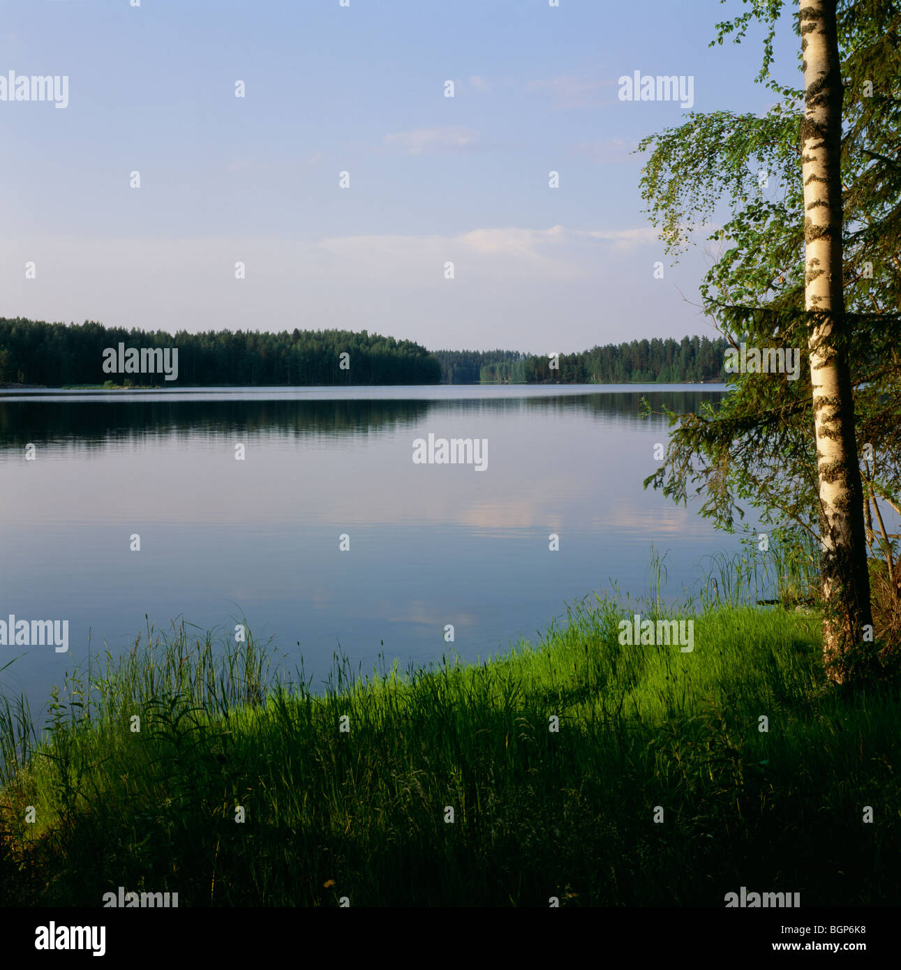 A lake, Finland Stock Photo - Alamy