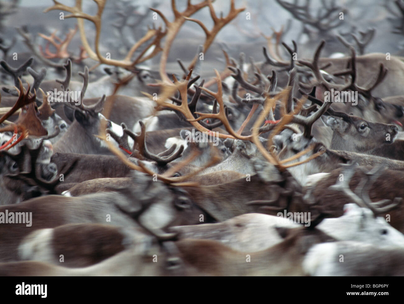 Rounding the horn hi-res stock photography and images - Alamy