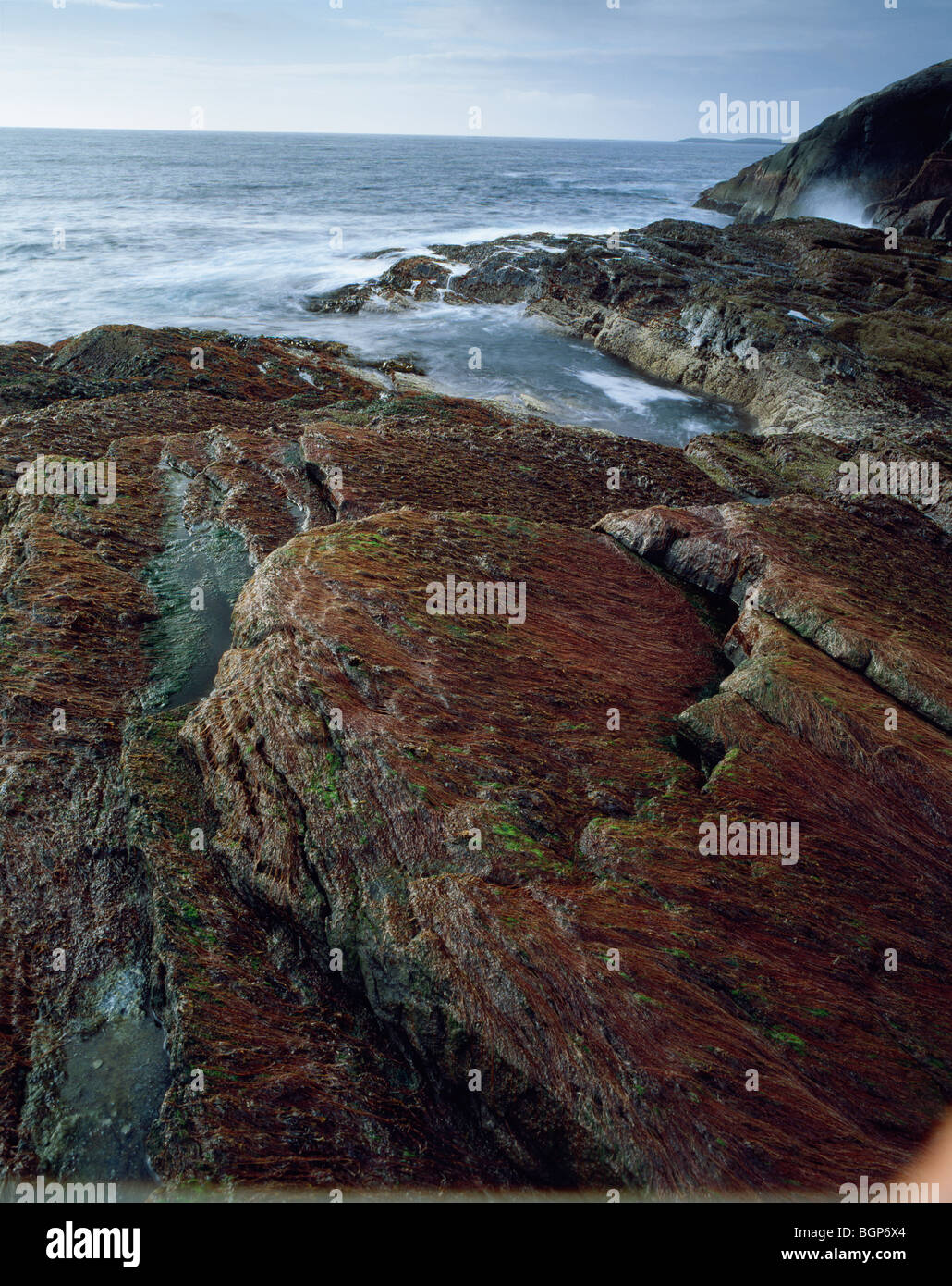 Cliffs by the coast, Norway Stock Photo - Alamy