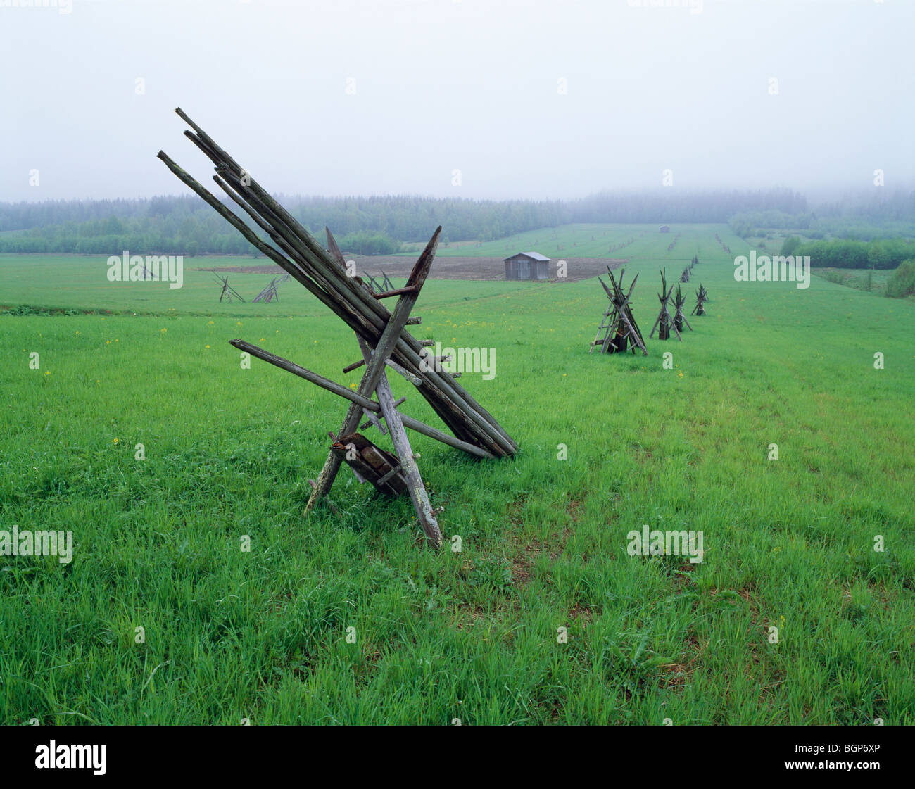 Hay drying rack farming field grass hi-res stock photography and images ...