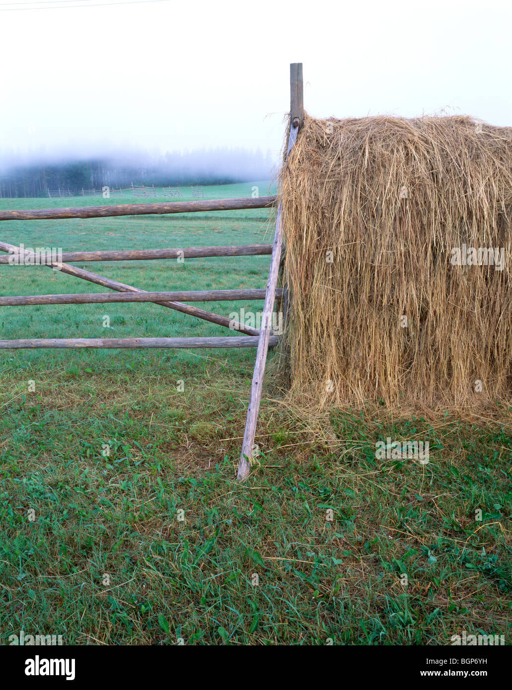 A pile hay on drying racks hi-res stock photography and images - Alamy