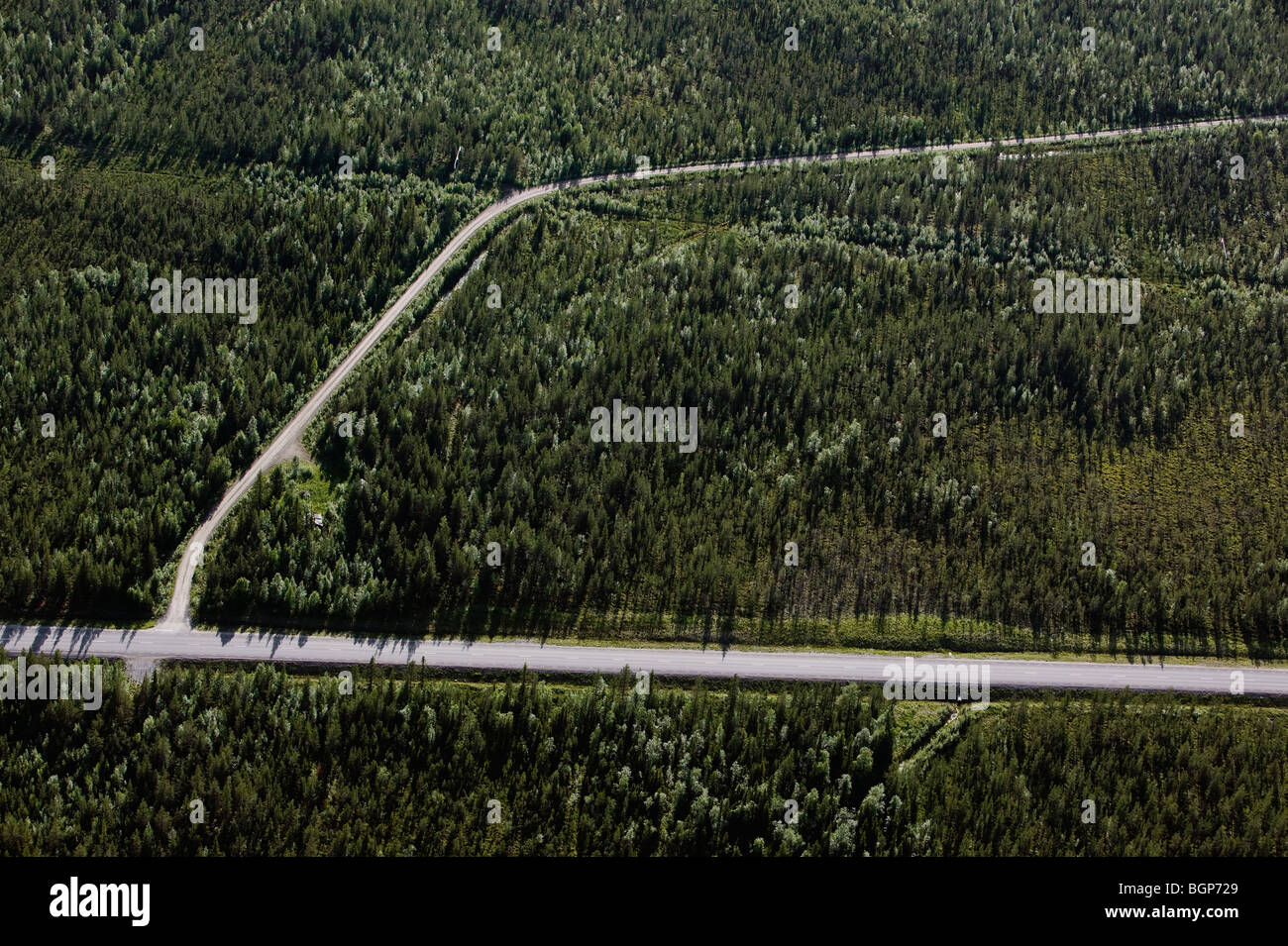 Road through forest landscape, aerial view Stock Photo - Alamy
