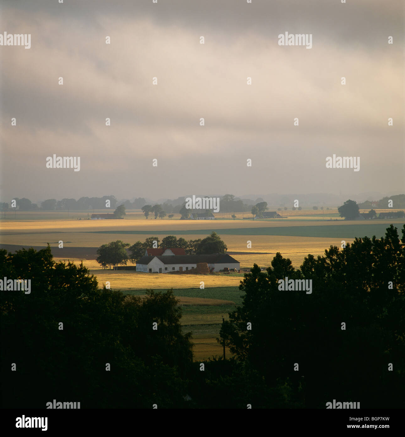 Fields and a farm, Sweden Stock Photo - Alamy
