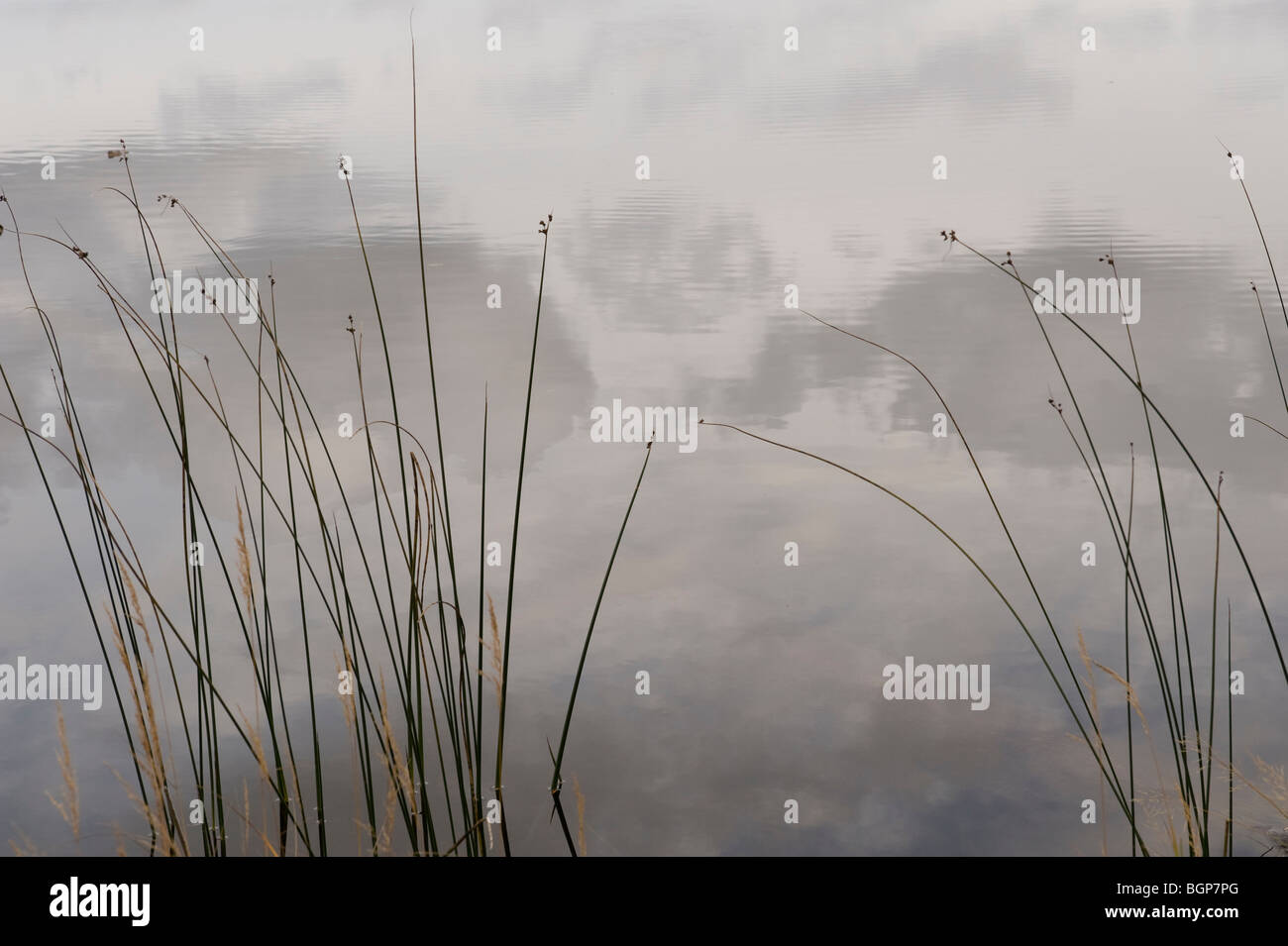 Ontario lakeshores hi-res stock photography and images - Alamy