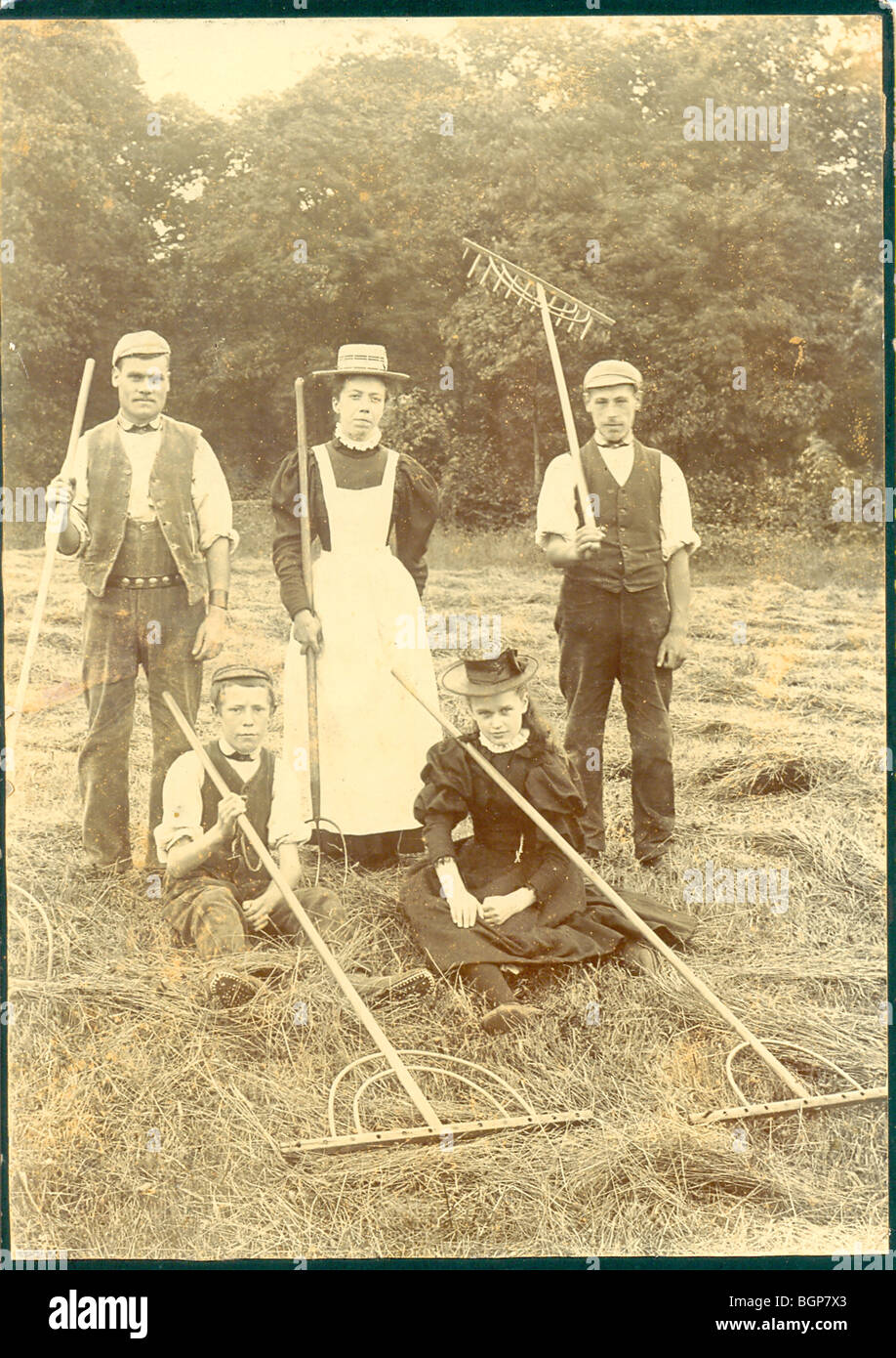 1890s agriculture hi-res stock photography and images - Alamy