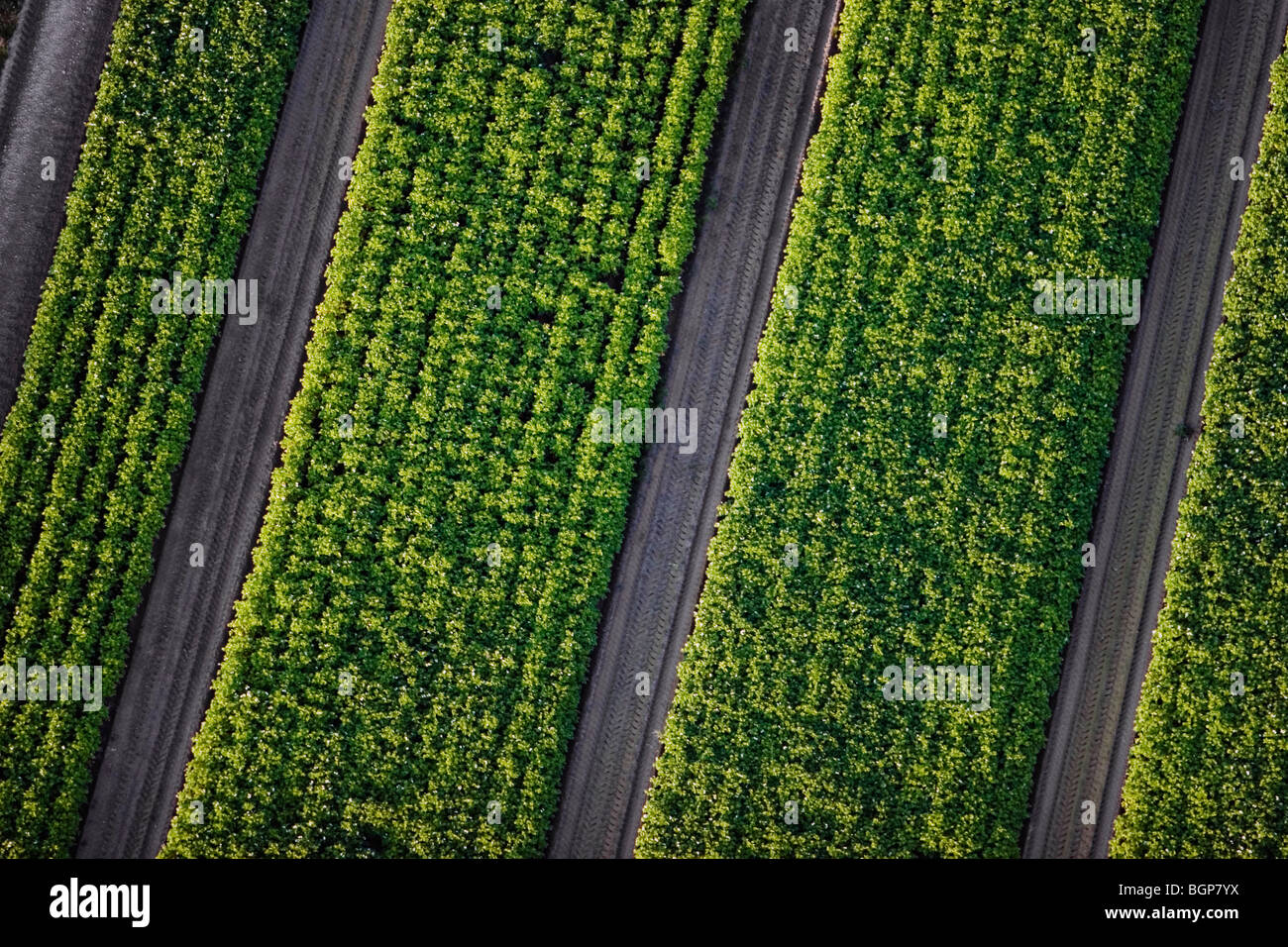 Aerial view of a field Stock Photo - Alamy