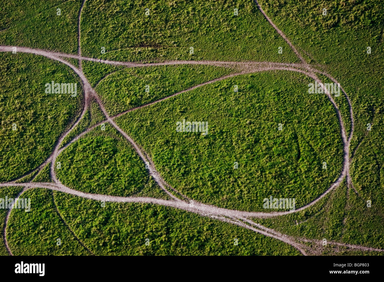 Aerial view of horse paths on a field, Sweden Stock Photo - Alamy
