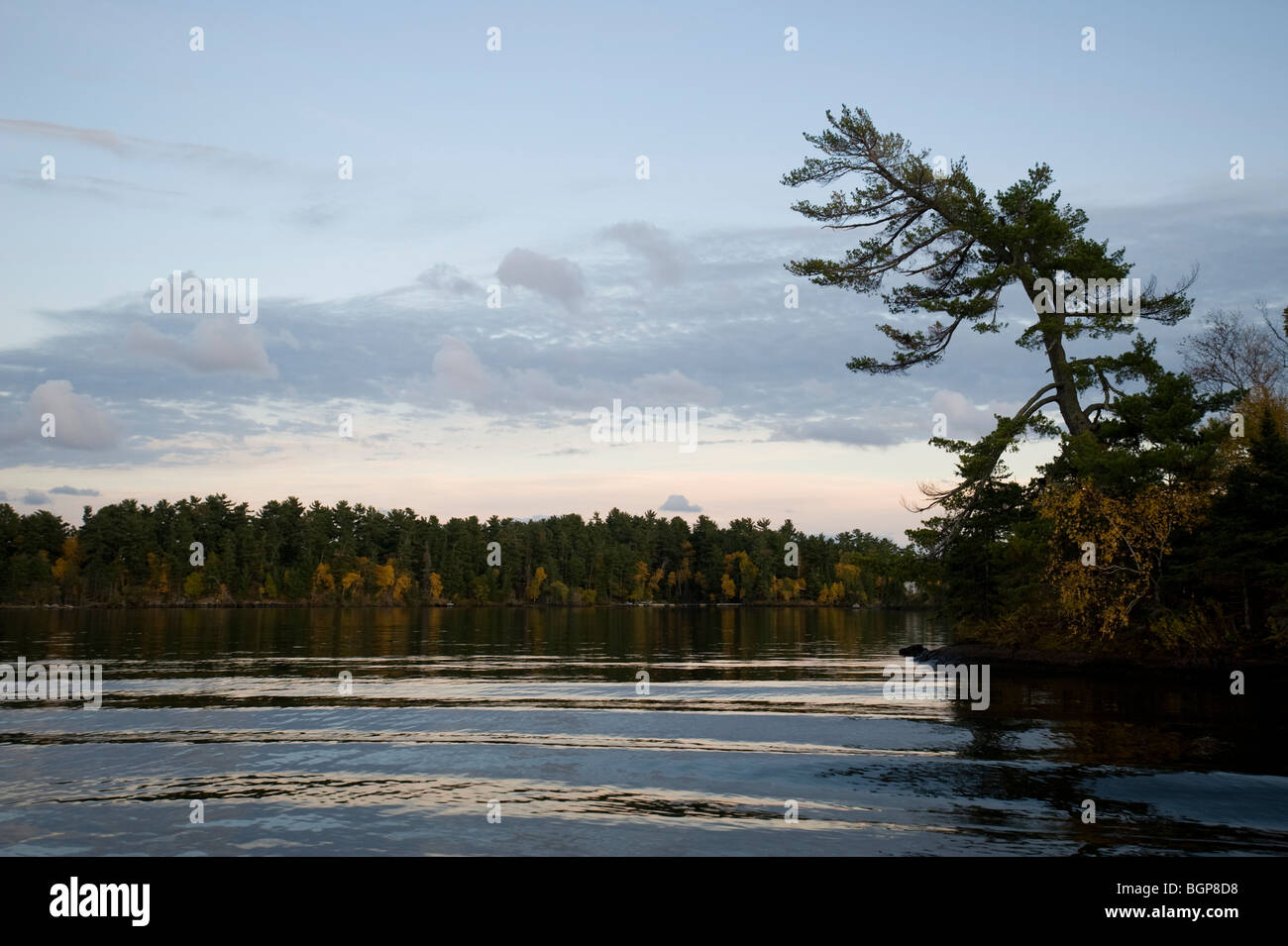 Lakeshore, Lake of the Woods, Ontario, Canada Stock Photo - Alamy