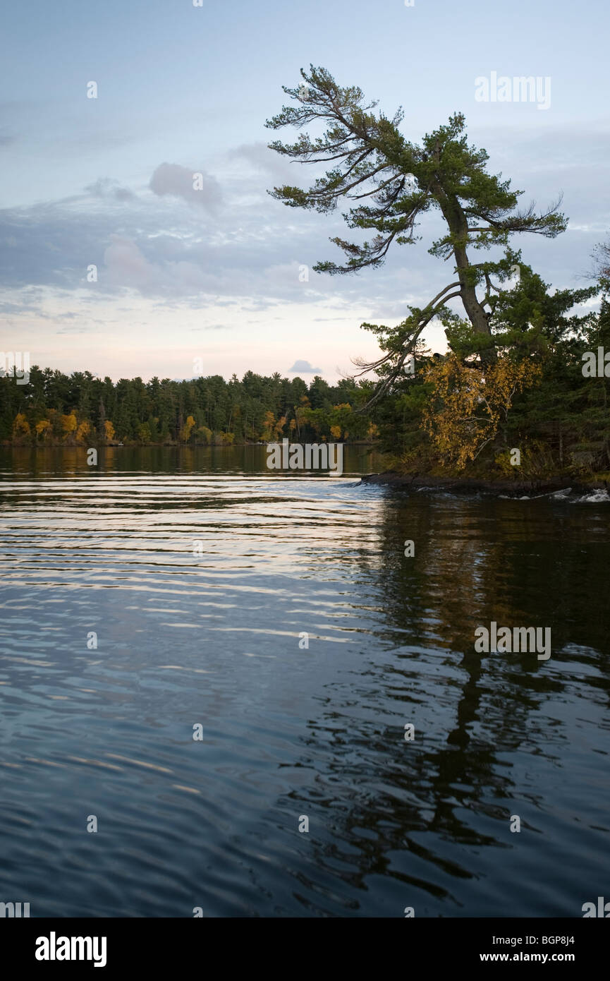Lakeshore, Lake of the Woods, Ontario, Canada Stock Photo - Alamy