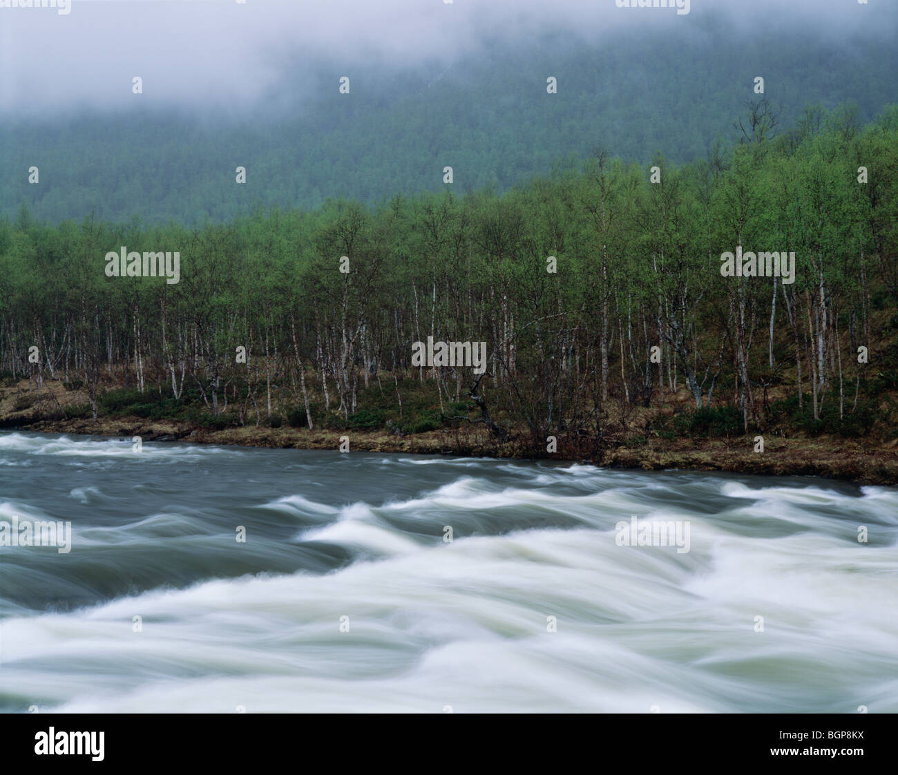 Water in a river, Sweden Stock Photo - Alamy
