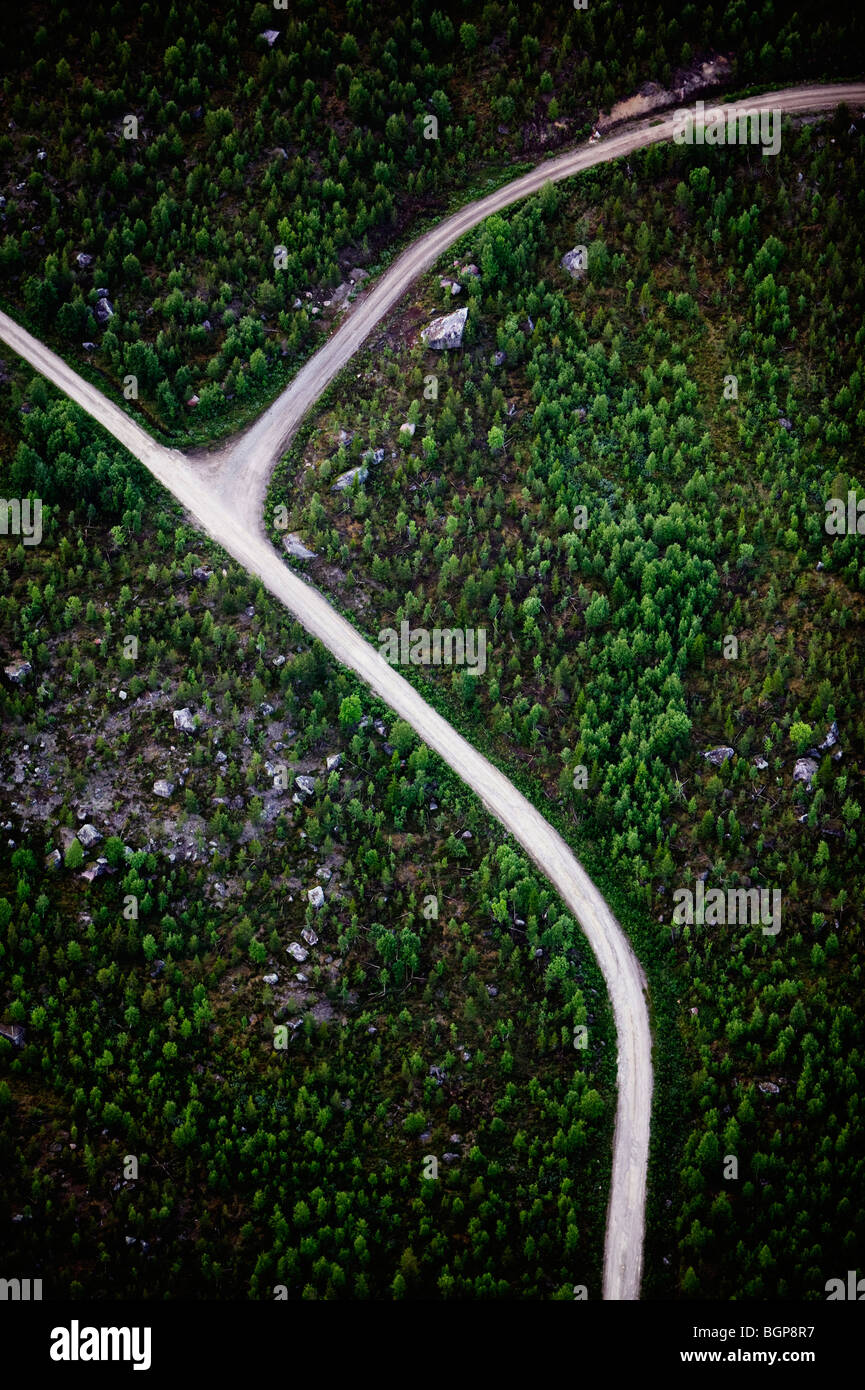 Road through forest landscape, aerial view Stock Photo - Alamy