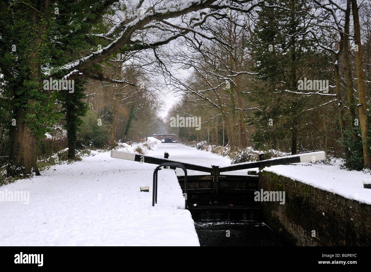 Basingstoke canal frozen hi-res stock photography and images - Alamy