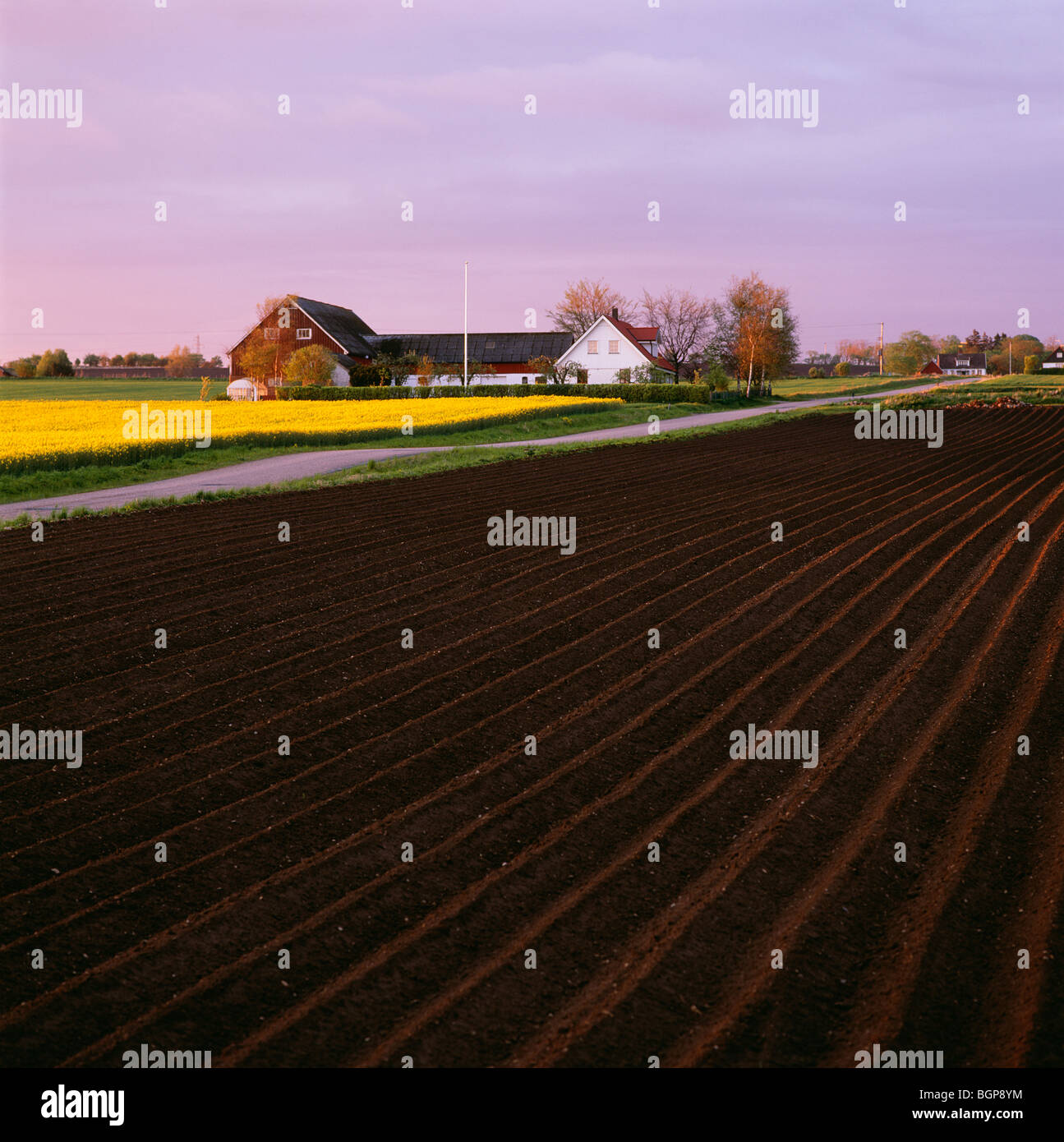 Fields and a farm, Sweden Stock Photo - Alamy
