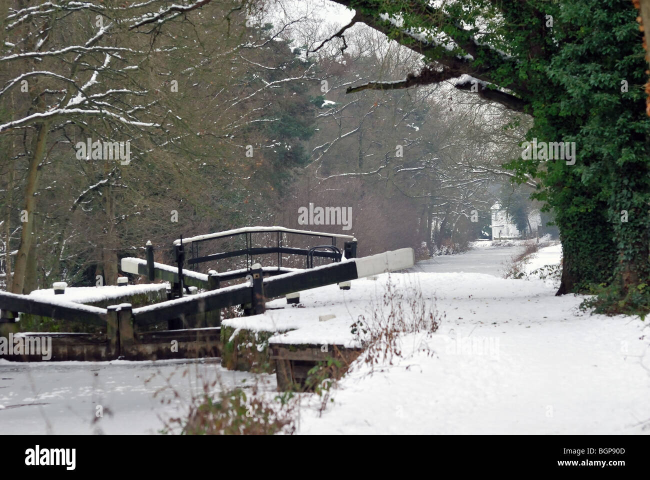 Basingstoke Canal in heavy snow Stock Photo - Alamy