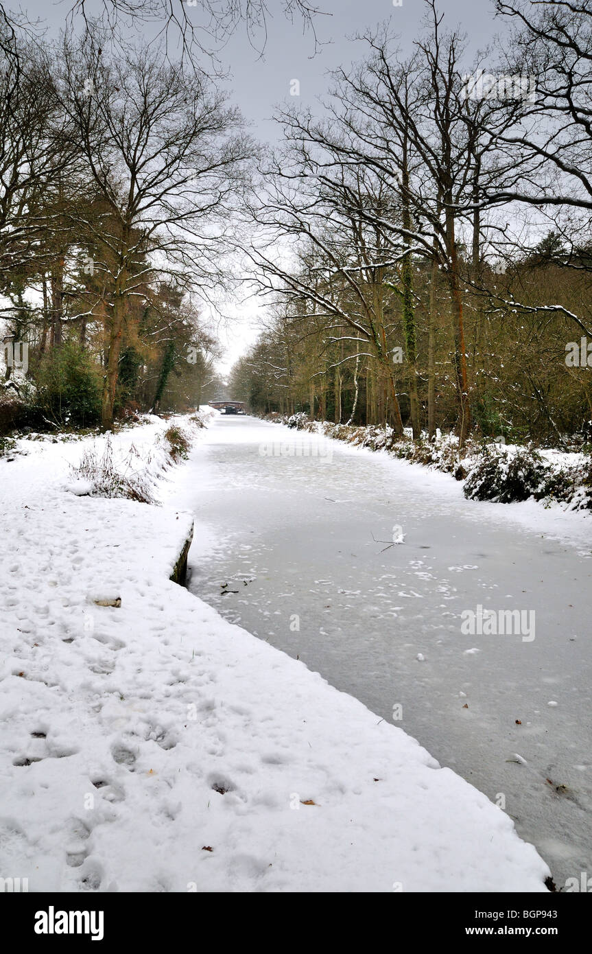 Basingstoke canal frozen hi-res stock photography and images - Alamy