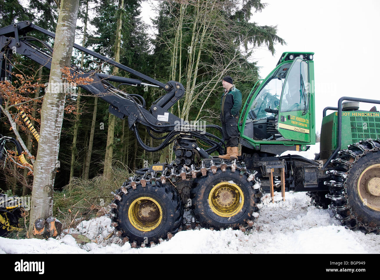 Forestry machine felling tree. Scottish Borders Stock Photo - Alamy