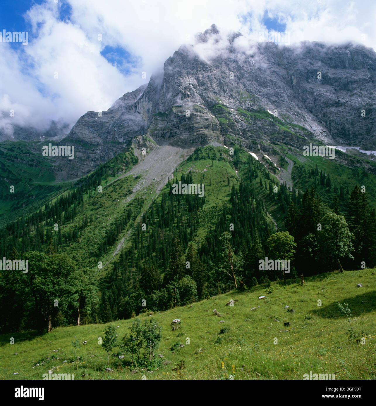 Alpine meadows, Austria Stock Photo - Alamy
