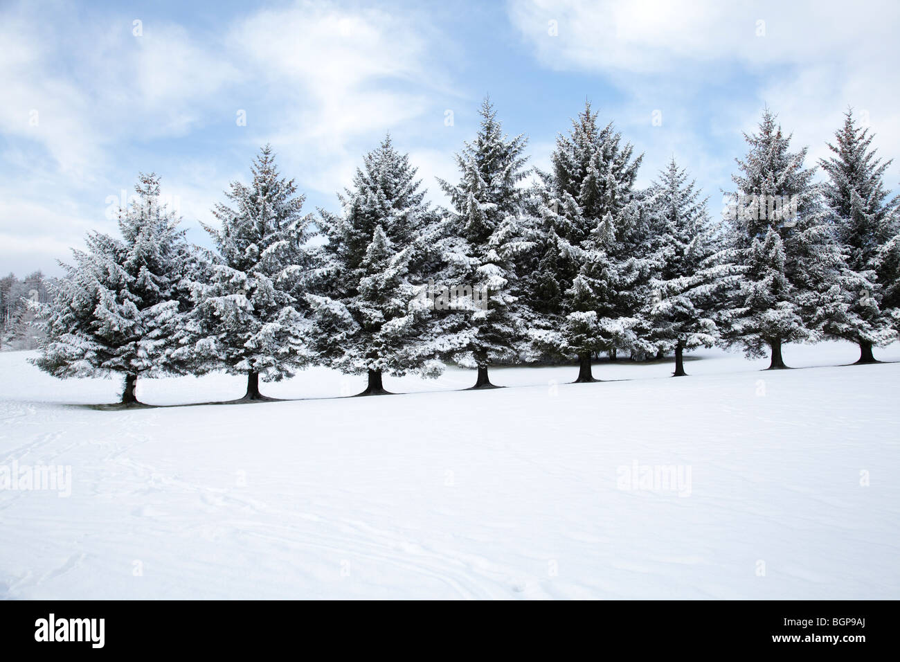 Snow landscapes scotland hi-res stock photography and images - Alamy