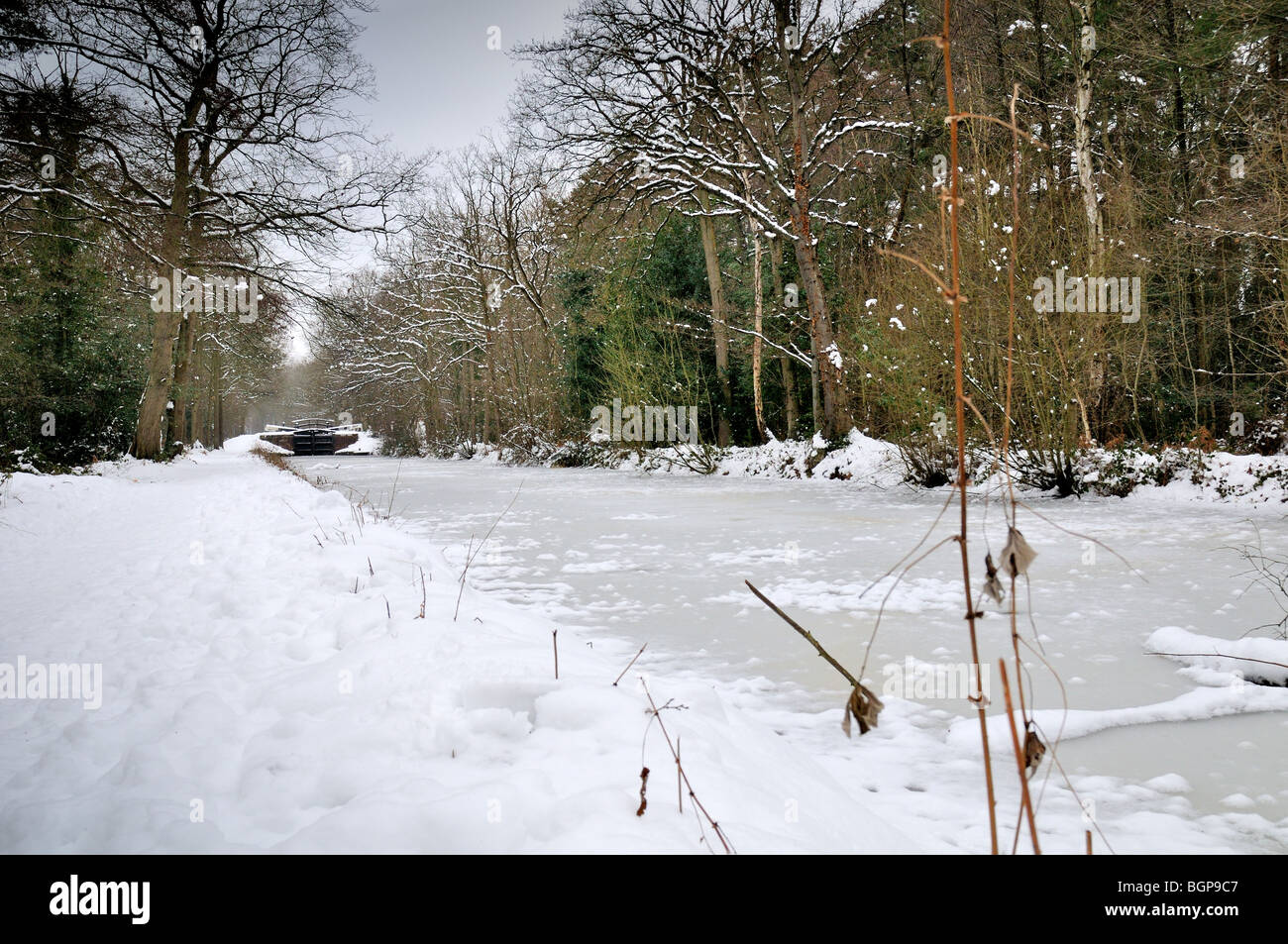 Basingstoke canal frozen in snow hi-res stock photography and images ...