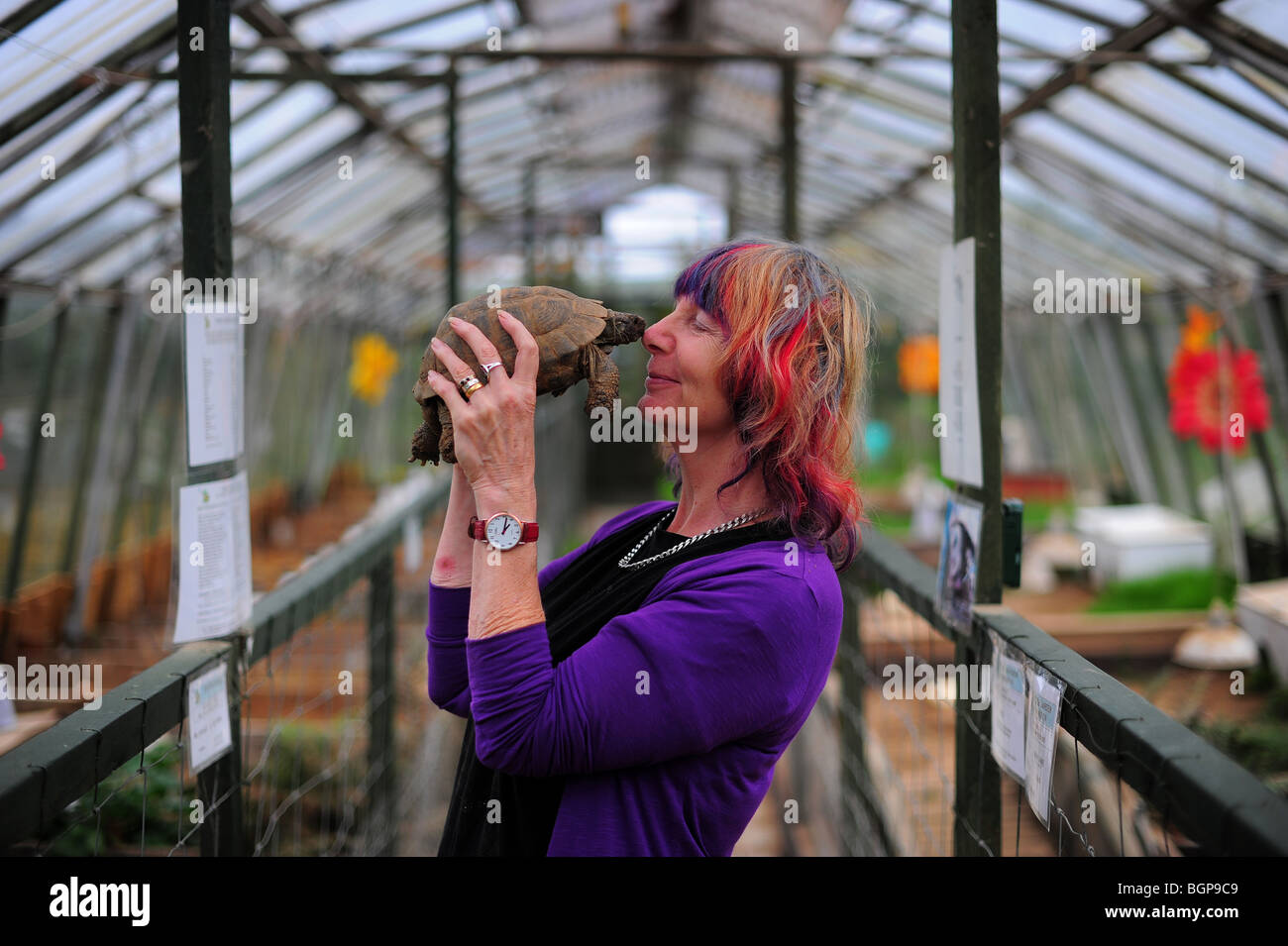 Woman and tortoise hi-res stock photography and images - Alamy