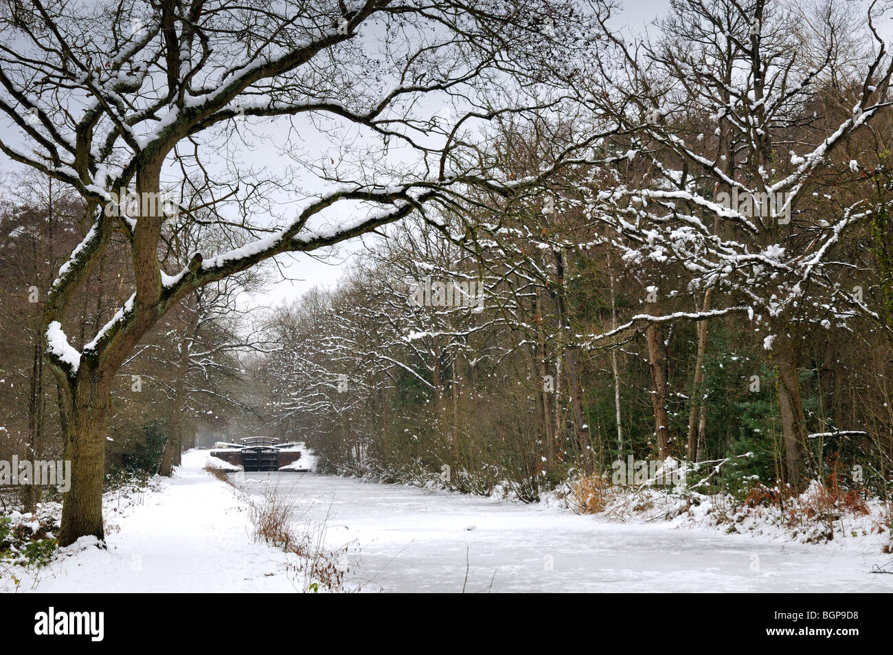 Basingstoke Canal in heavy snow Stock Photo - Alamy