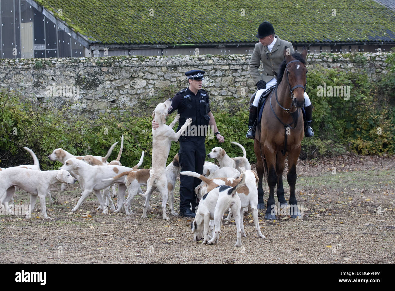 Fox Chase Hunt High Resolution Stock Photography and Images - Alamy