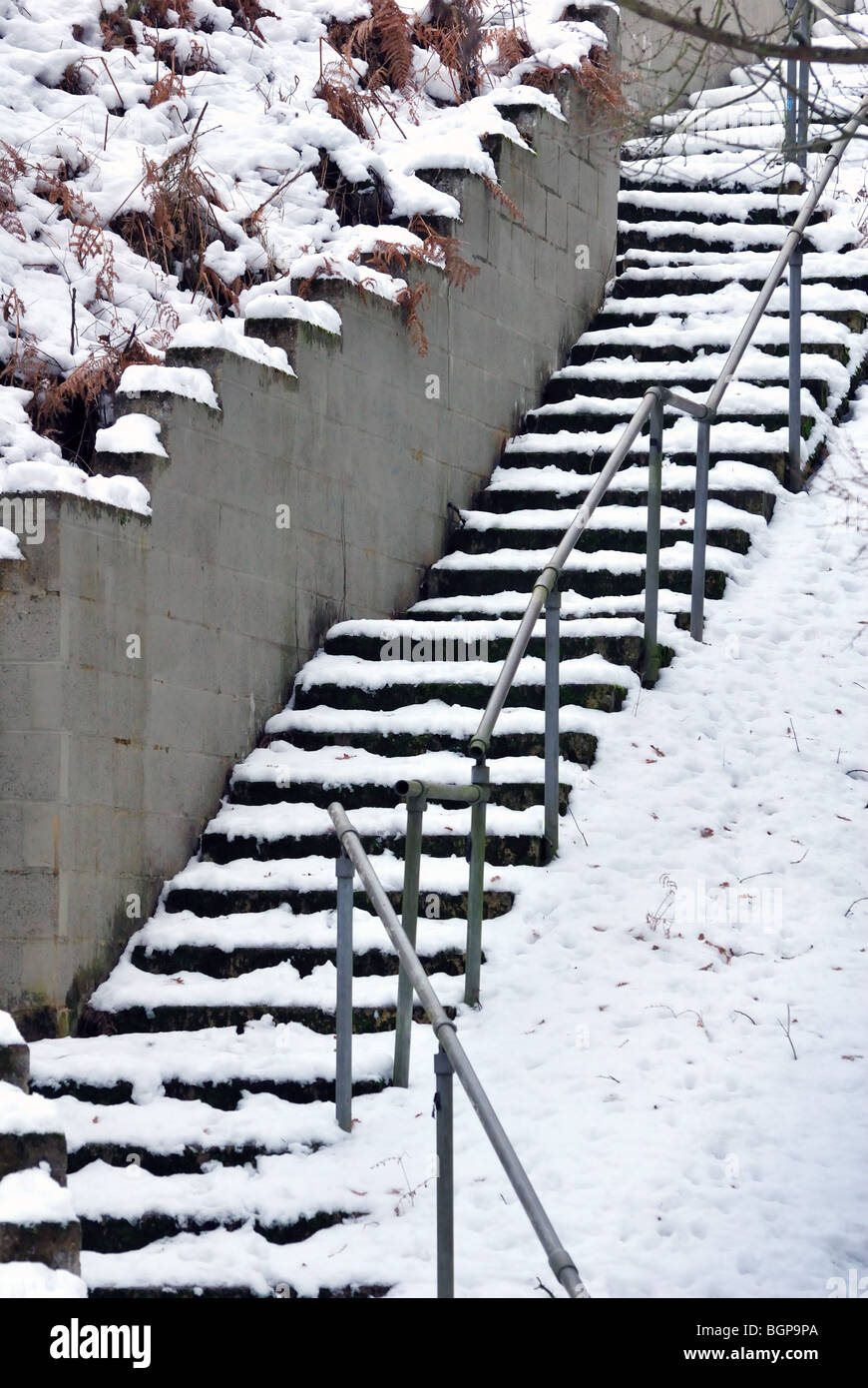 Long flight of snowy steps Stock Photo - Alamy