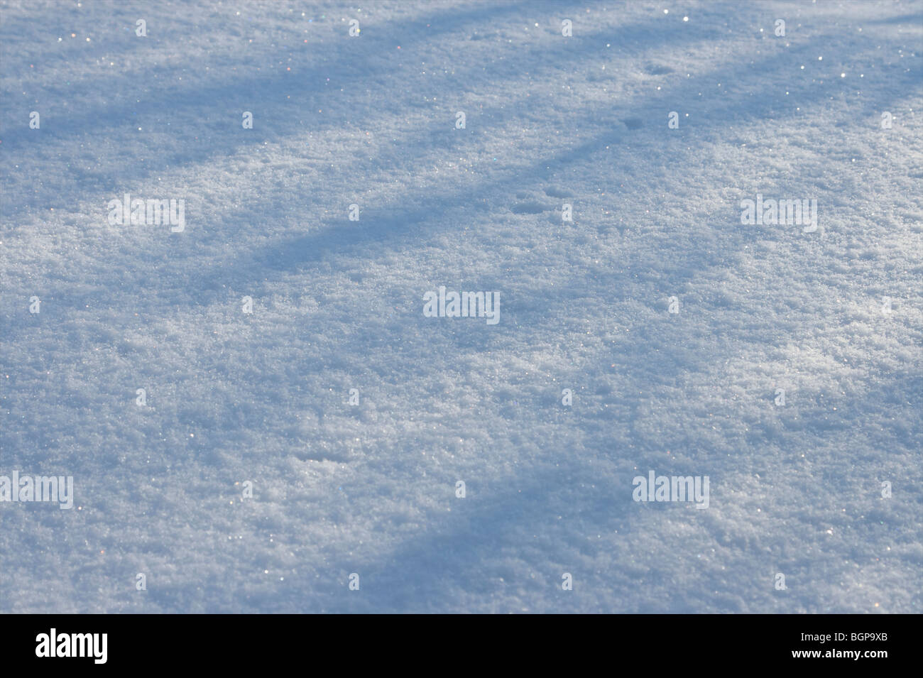 Season ground hi-res stock photography and images - Alamy