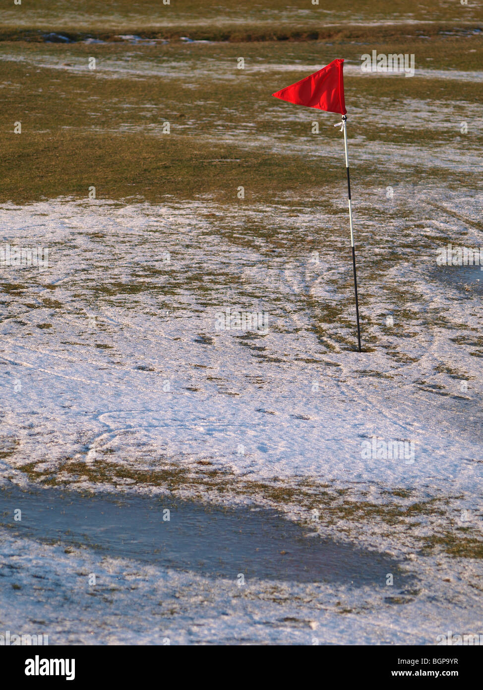 Green coarse hi-res stock photography and images - Alamy