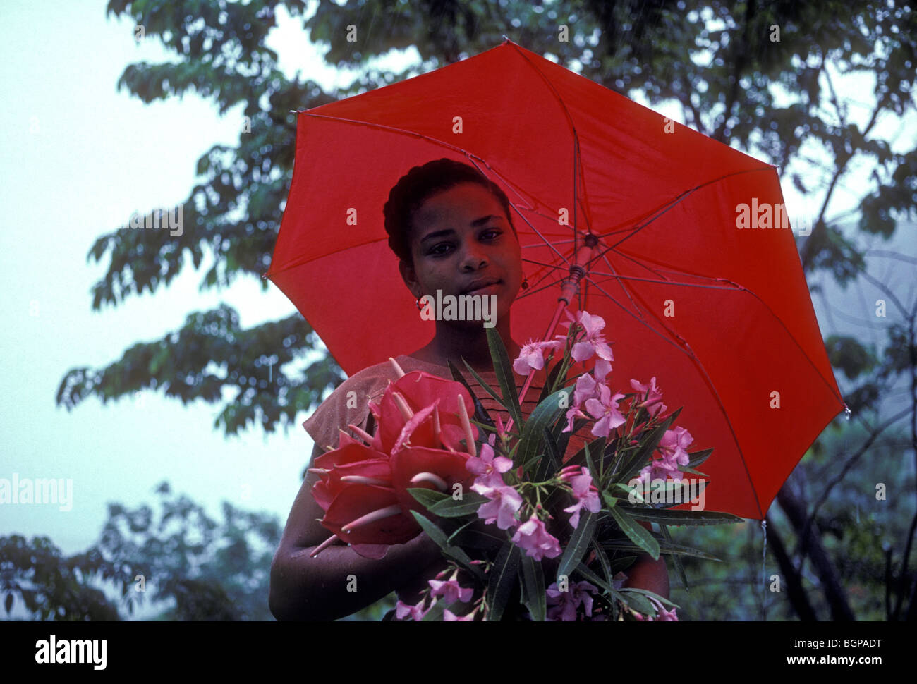Martinican woman, Martinican, woman, holding, bouquet of flowers, red ...