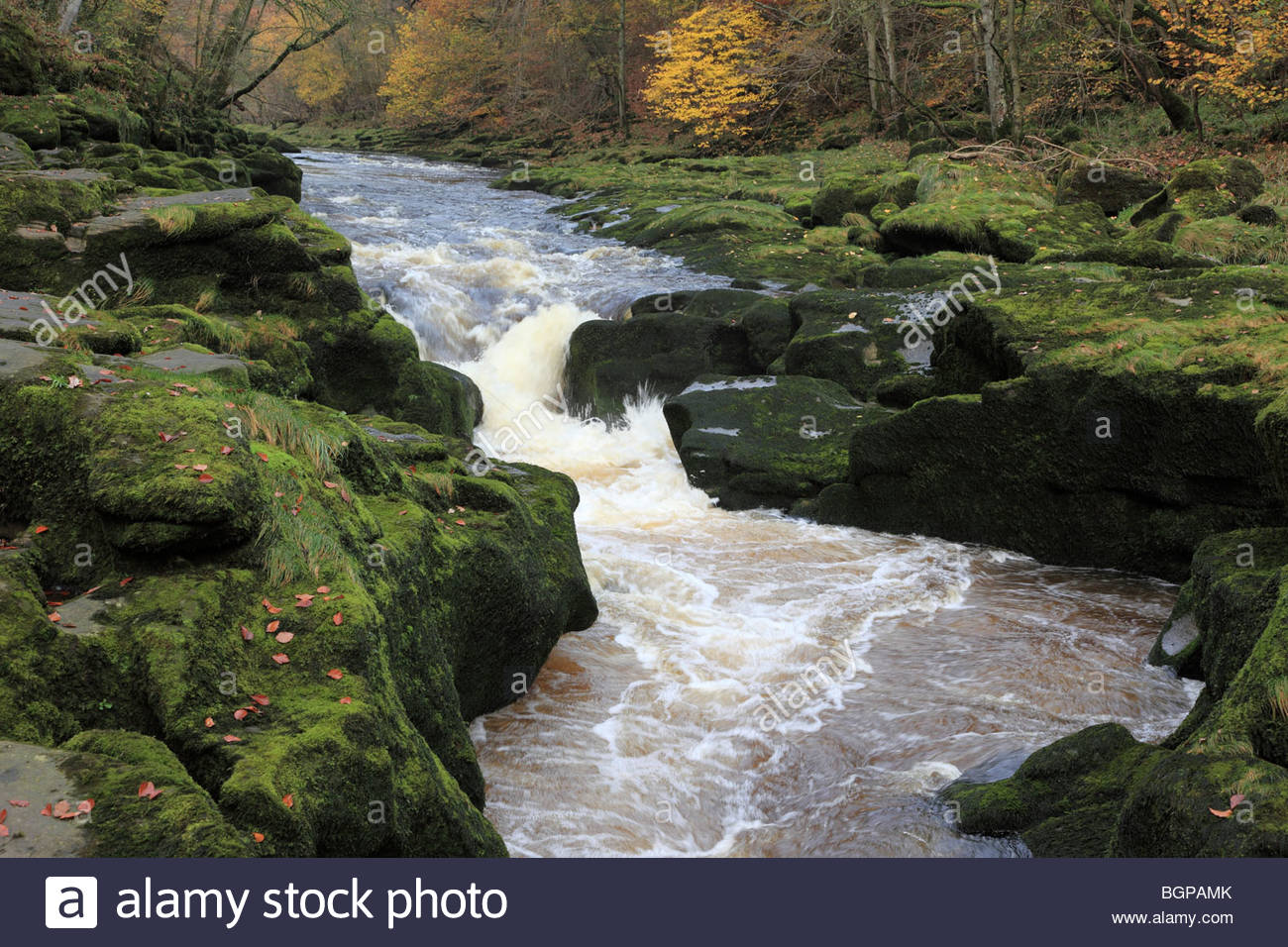 Strid River Near Bolton Abbey High Resolution Stock Photography and ...