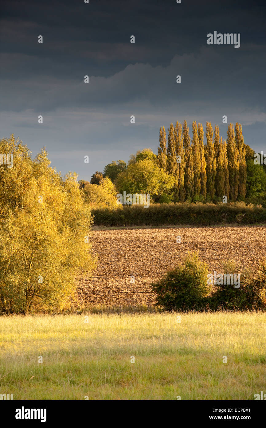 Warwickshire landscape hi-res stock photography and images - Alamy