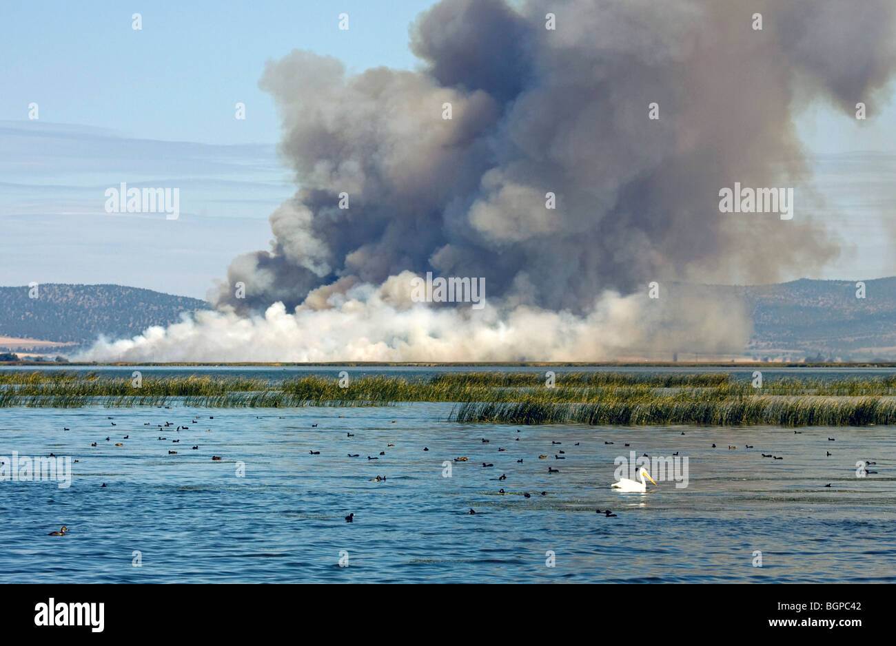 Burning crop hi-res stock photography and images - Alamy