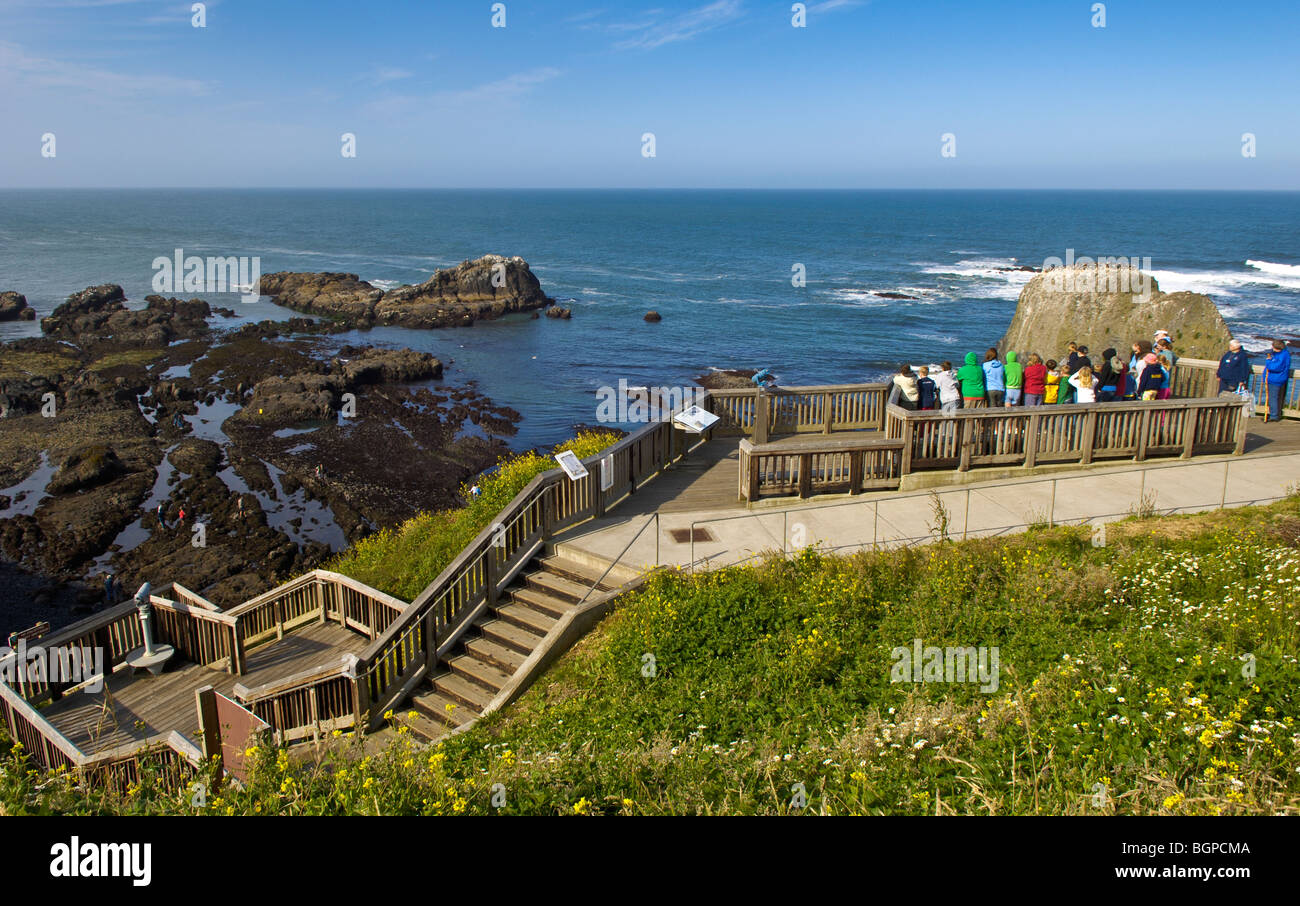 School group at viewpoint overlooking tidepools at Yaquina Head ...