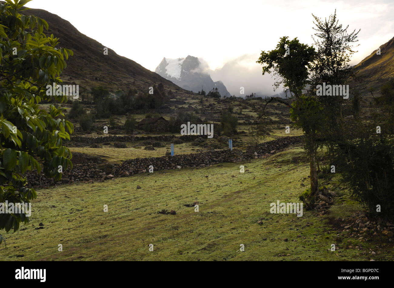 Cuncani hi-res stock photography and images - Alamy