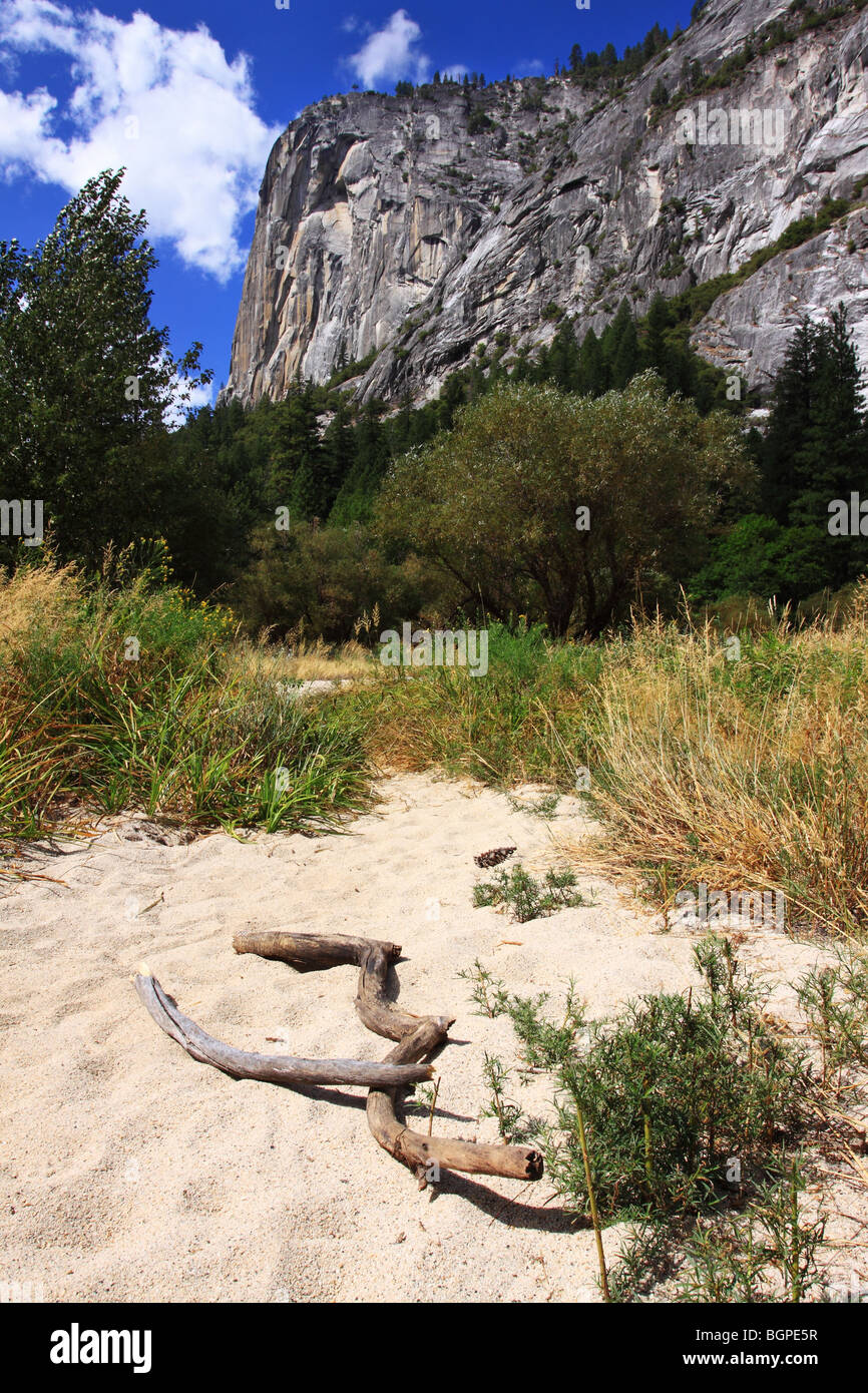 Bone lake hi-res stock photography and images - Alamy